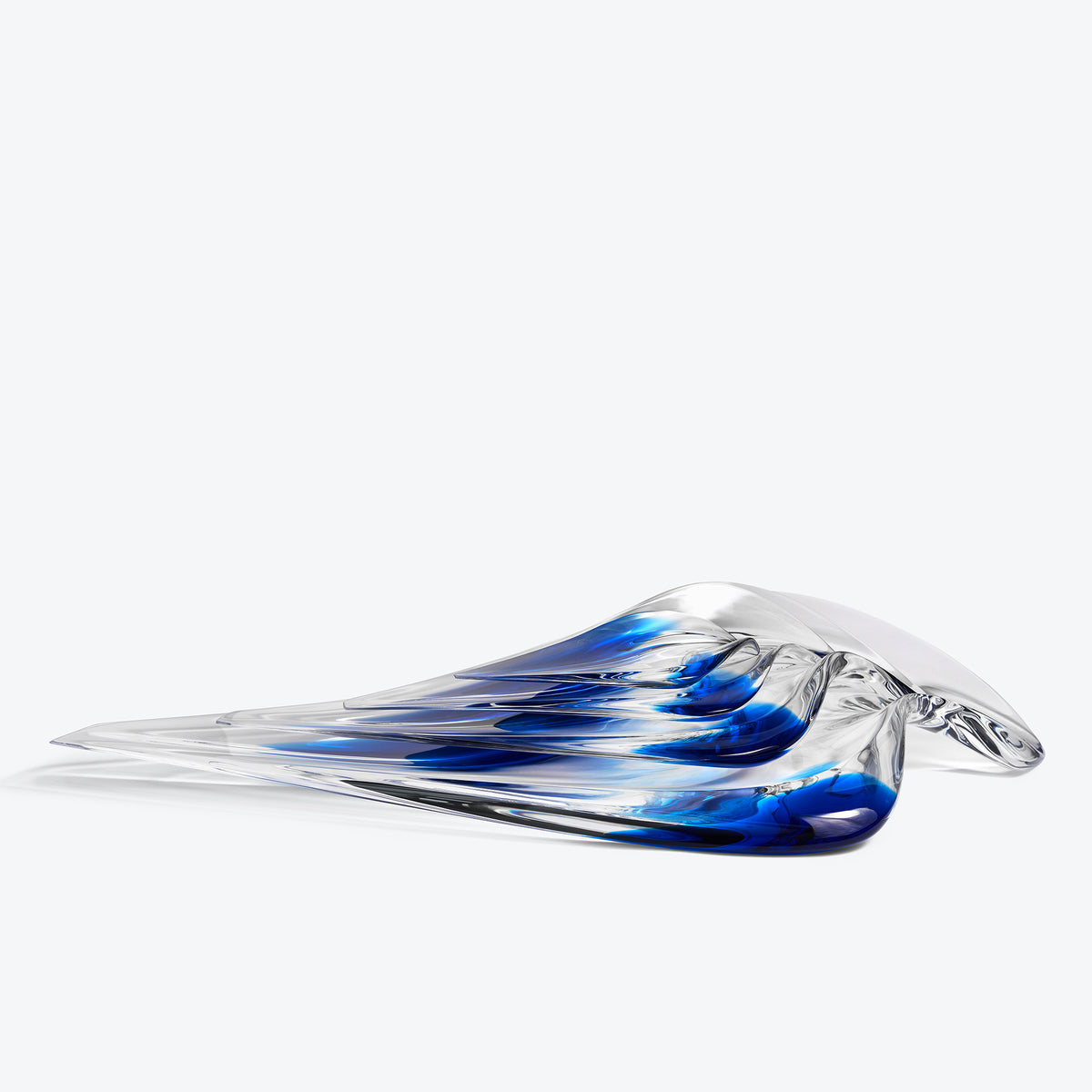 Zaha Hadid Design - Official Store | Luxury Homeware